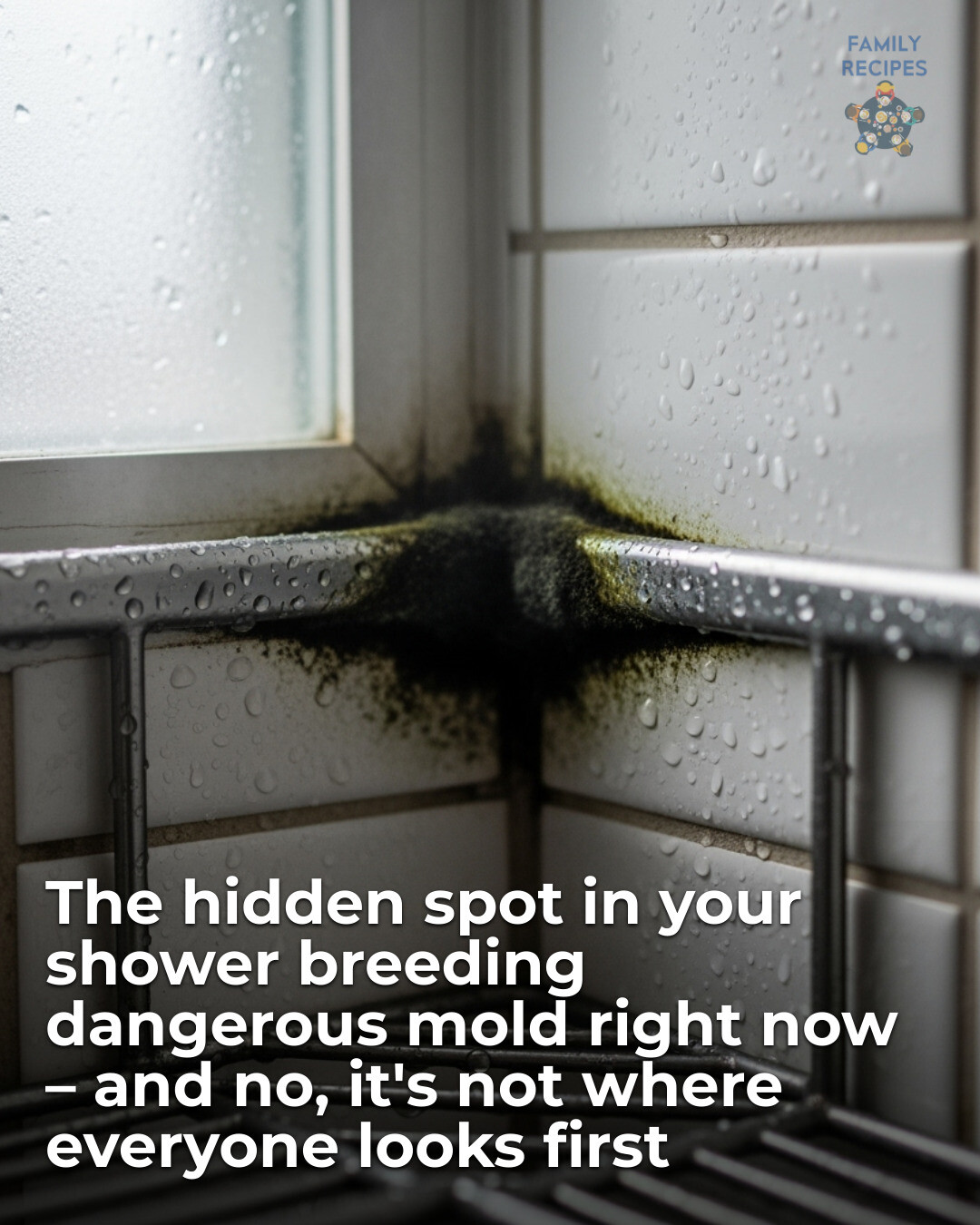 The only spot in your shower collecting dangerous mold (and it's not ...